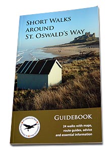 Shop - The Official Website